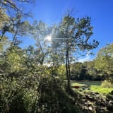 Welch Spring Trail, Missouri - 111 Reviews, Map | AllTrails