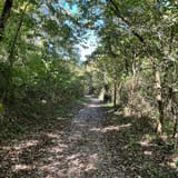 Welch Spring Trail, Missouri - 111 Reviews, Map | AllTrails