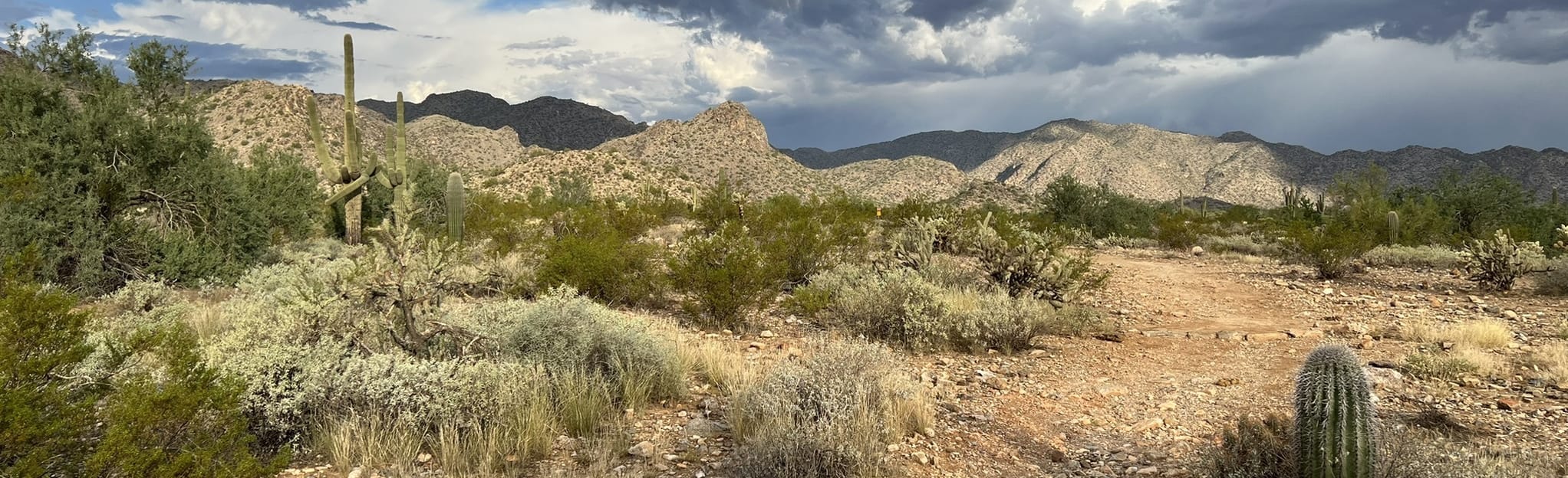 Goat Camp Trail to Mesquite Canyon Trail Loop: 244 Reviews, Map ...