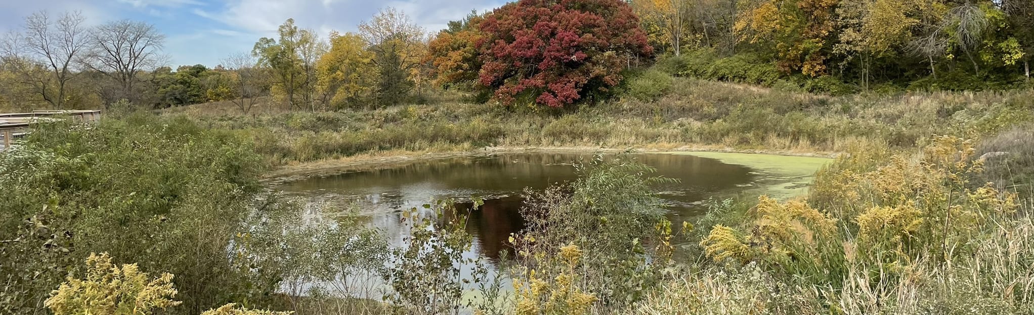 Oakview Pond and Yellow Banks Pond: 87 Reviews, Map - Iowa | AllTrails