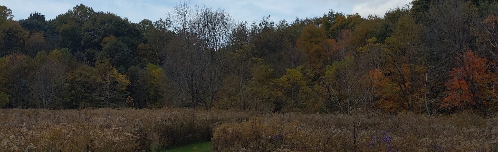 Beaver Run Trail, Ohio - 74 Reviews, Map | AllTrails