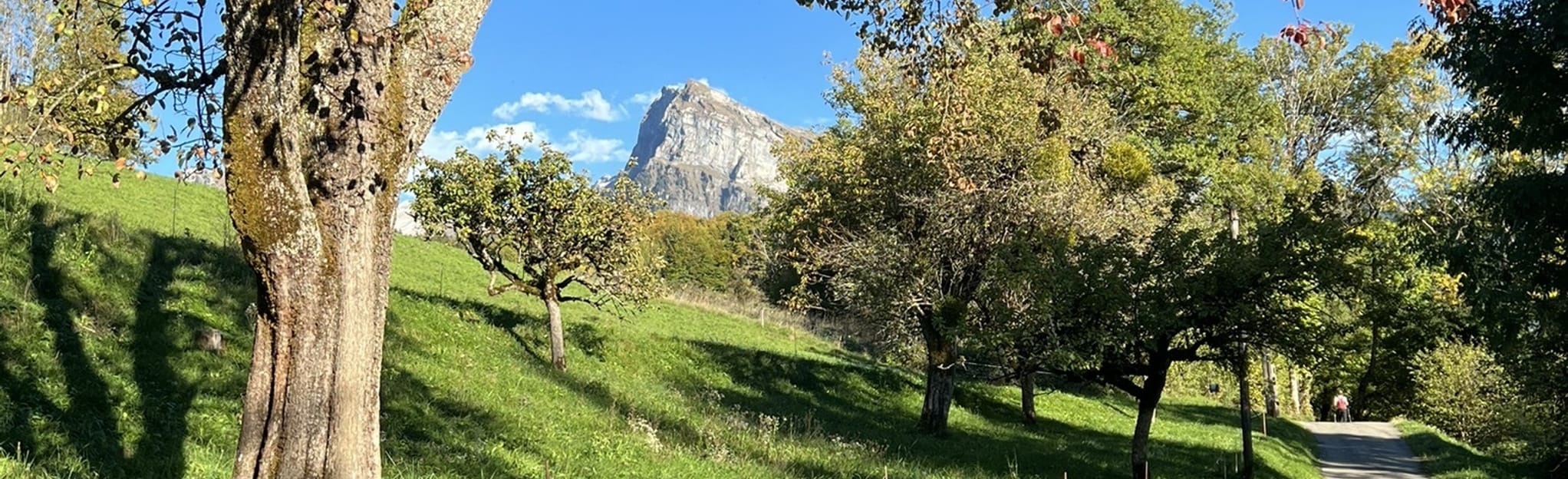 AllTrails | Samoëns - Morillon - Verchaix: 65 Reviews, Map - Haute ...