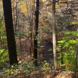 Bee Brook Loop, Connecticut - 935 Reviews, Map | AllTrails