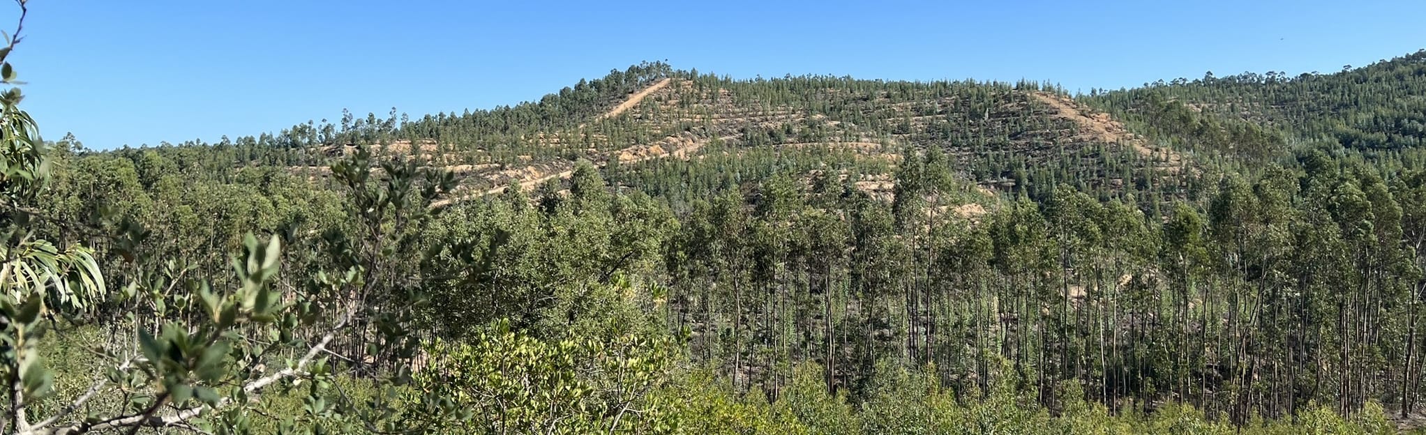 PR7 AJZ - Trilho do Carrascalinho, Faro, Portugal - 8 Reviews, Map ...