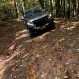 Nimblewill Gap OHV Road, Georgia - 341 Reviews, Map | AllTrails