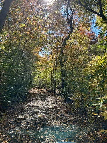 Best Hikes and Trails in Cold Spring Park | AllTrails