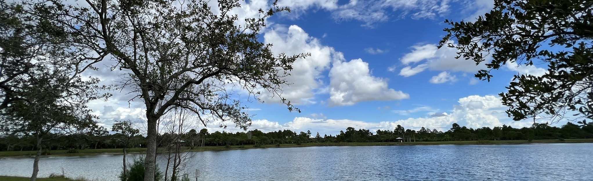 Larry and Penny Thompson Park Loop: 92 foto - Florida | AllTrails