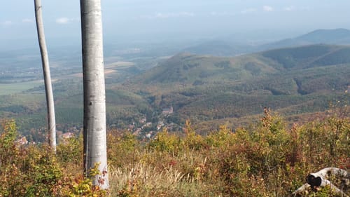 2023 Best Hot Springs Trails in Nemti | AllTrails