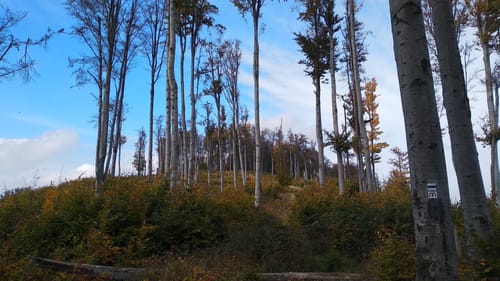 2023 Best Hot Springs Trails in Nemti | AllTrails