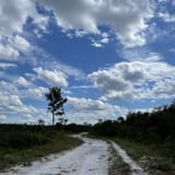 Three Lakes Loop, Florida - 263 Reviews, Map | AllTrails