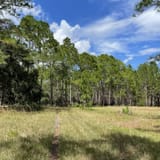 Three Lakes Loop, Florida - 265 Reviews, Map | AllTrails