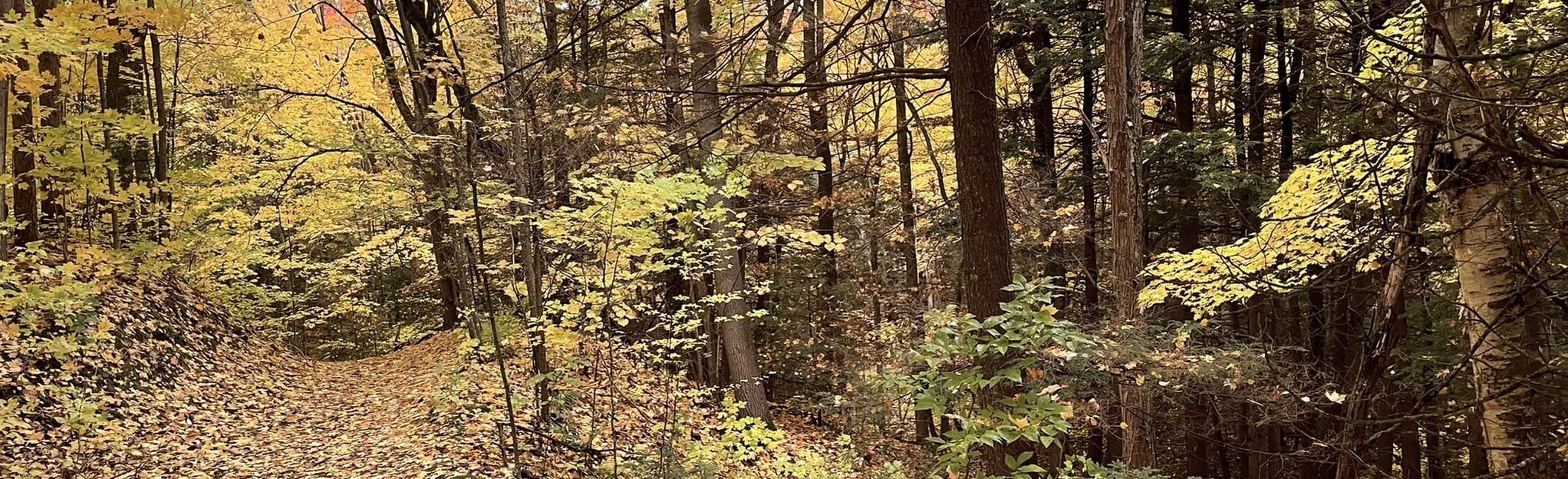 Snow Valley Loop: 100 Reviews, Map - Ontario, Canada | AllTrails