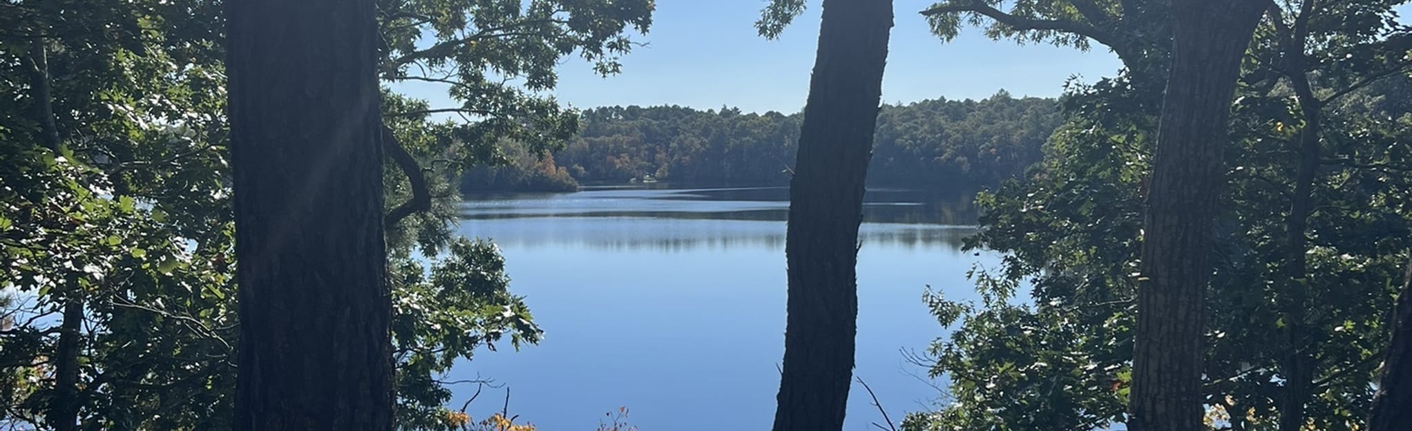 Great Island Pond Loop: 25 Reviews, Map - Massachusetts | AllTrails