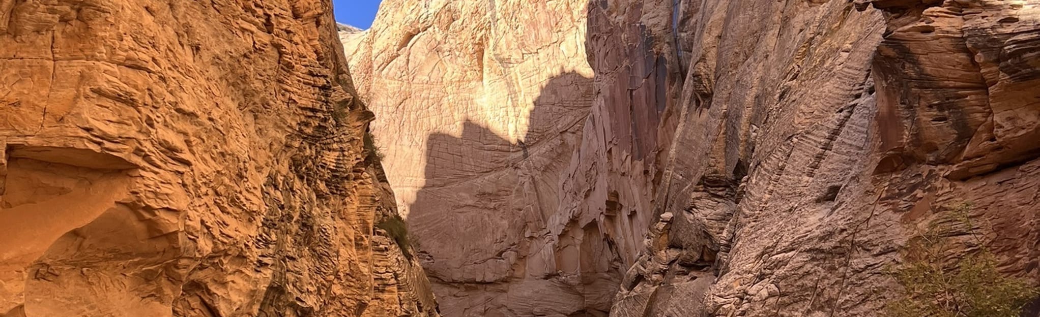 Death Hollow, Utah - 20 Reviews, Map | AllTrails