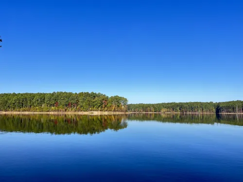 10 Best Hikes and Trails in Falls Lake State Recreation Area | AllTrails