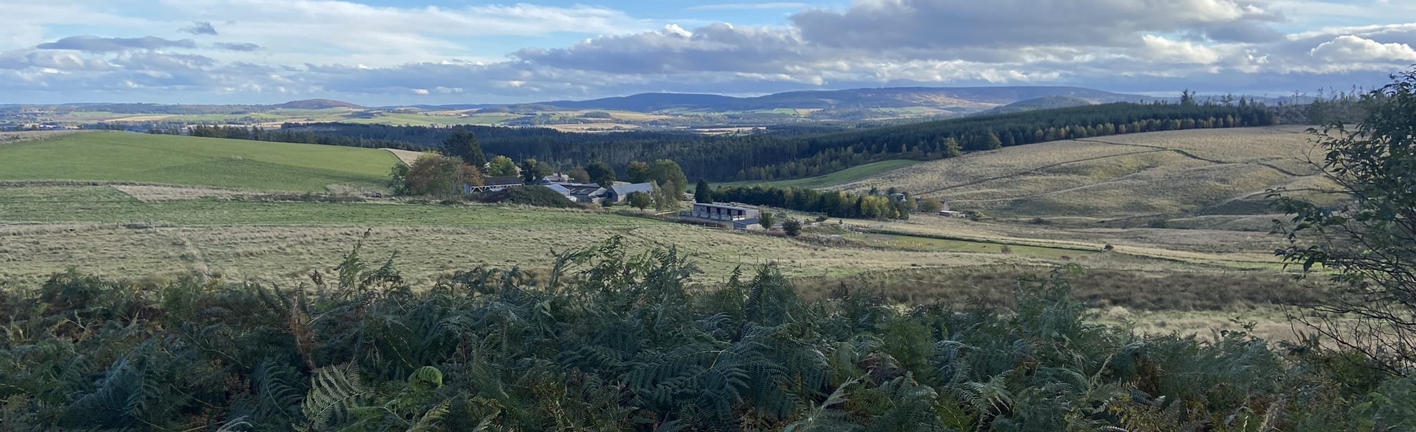 Pitfichie Hill via Granite Top/ Cairn William Trail: 57 foto's ...