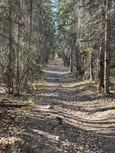 2023 Best Waterfall Trails in Grande Cache | AllTrails