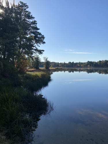 Best Hikes and Trails in Penn State Forest | AllTrails