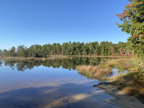 Best Hikes and Trails in Penn State Forest | AllTrails