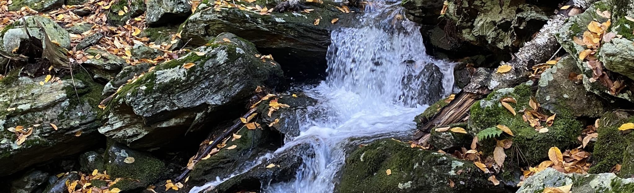 Sages Ravine via Northwest Road, Massachusetts - 217 Reviews, Map ...