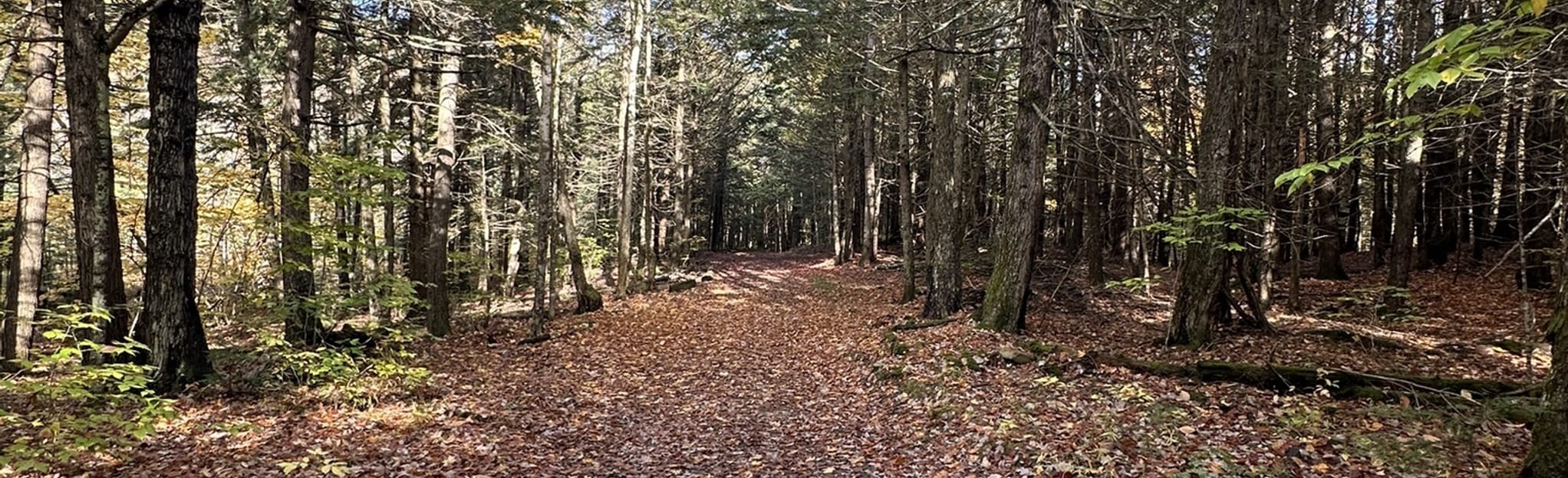 Ledges Loop Trail: 31 Reviews, Map - Vermont | AllTrails