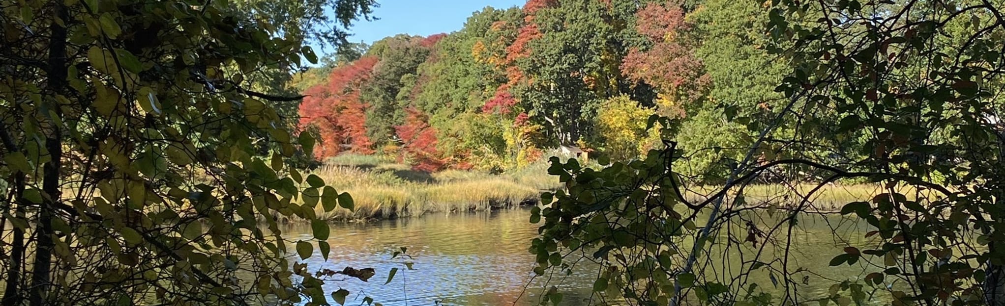 Warwick Path, Rhode Island - 646 Reviews, Map | AllTrails