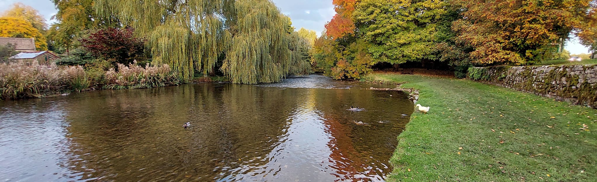 Bakewell & 5 Villages, Derbyshire, England - 8 Reviews, Map | AllTrails
