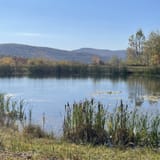 Shavertown Trail, New York - 275 Reviews, Map | AllTrails