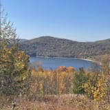 Shavertown Trail, New York - 275 Reviews, Map | AllTrails