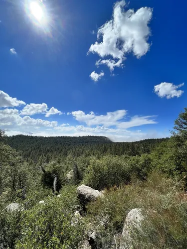 10 Best Trails and Hikes in Idyllwild-Pine Cove | AllTrails
