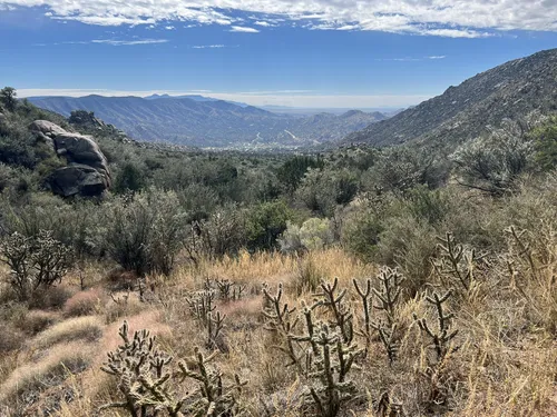 10 Best Hikes and Trails in Sandia Mountain Wilderness | AllTrails