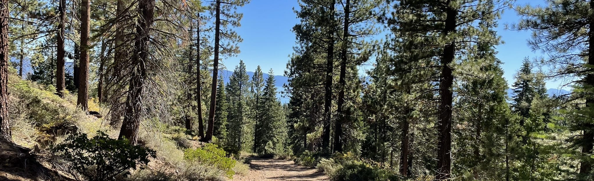 Rocky Ridge Road, Silver Trail, Antone Meadows and Burton Creek Loop ...