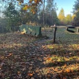 Cookson Field Trail Loop, Massachusetts - 12 Reviews, Map | AllTrails