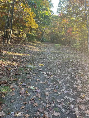 Best Hikes and Trails in Cookson Field | AllTrails