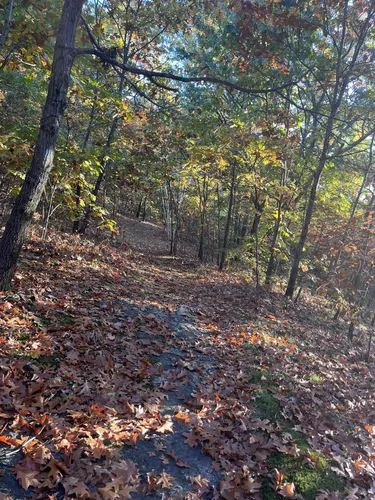 Best Hikes and Trails in Cookson Field | AllTrails