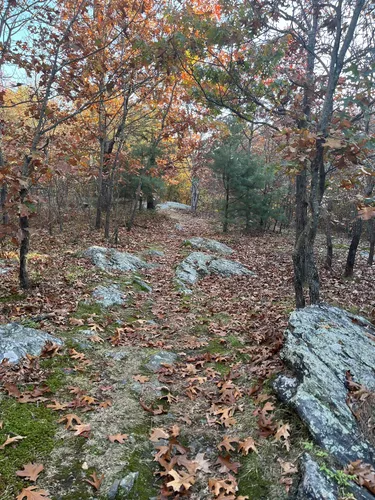 Best Hikes and Trails in Cookson Field | AllTrails