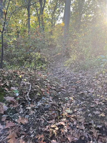 Best Hikes and Trails in Cookson Field | AllTrails