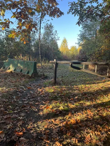 Best Hikes and Trails in Cookson Field | AllTrails