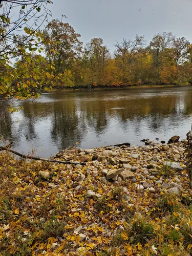 Best Forest Trails in Peshtigo | AllTrails