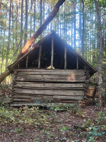 Best Hikes and Trails in Buck Spring Plantation | AllTrails