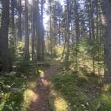 Red Spruce Knob, West Virginia - 184 Reviews, Map | AllTrails