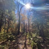 Red Spruce Knob, West Virginia - 184 Reviews, Map | AllTrails