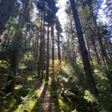 Red Spruce Knob, West Virginia - 184 Reviews, Map | AllTrails