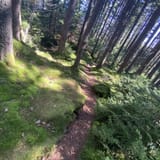 Red Spruce Knob, West Virginia - 184 Reviews, Map | AllTrails