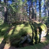 Red Spruce Knob, West Virginia - 196 Reviews, Map | AllTrails