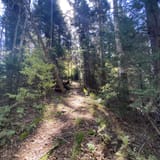 Red Spruce Knob, West Virginia - 194 Reviews, Map | AllTrails