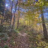 Red Spruce Knob, West Virginia - 194 Reviews, Map | AllTrails