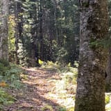 Red Spruce Knob, West Virginia - 194 Reviews, Map | AllTrails