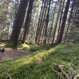 Red Spruce Knob, West Virginia - 196 Reviews, Map | AllTrails