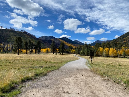 2023 Best 10 Trails and Hikes in Flagstaff | AllTrails